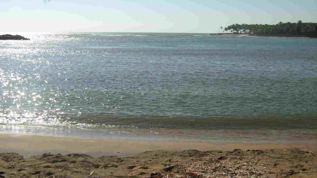 Chettuva Backwater • Boating, Entry Fee, Timing, Things To Do