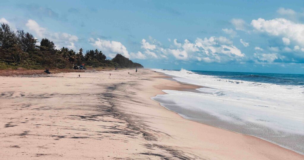 Thottappally Beach • Entry Fee, Timings, Location, Things To Do
