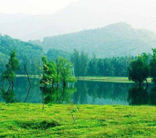 Kariyathumpara • Entry Fee, Timings, Location, Things To Do