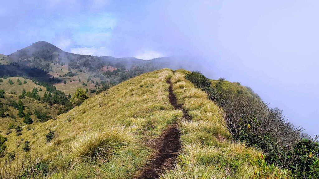 Meesapulimala Trekking: A Breathtaking Adventure In Munnar • Tripinic