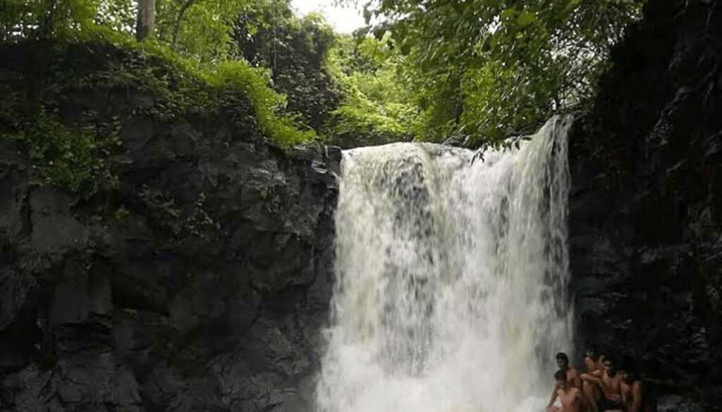 Must Visit Places And Things To Do In Thrissur Kerala • Tripinic
