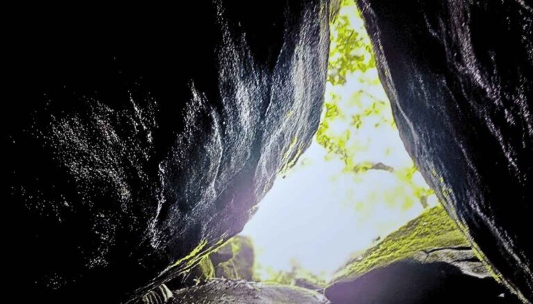 Exploring The Natural Wonders Of Mankulam In Idukki • Tripinic