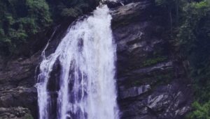 Exploring The Natural Wonders Of Mankulam In Idukki • Tripinic